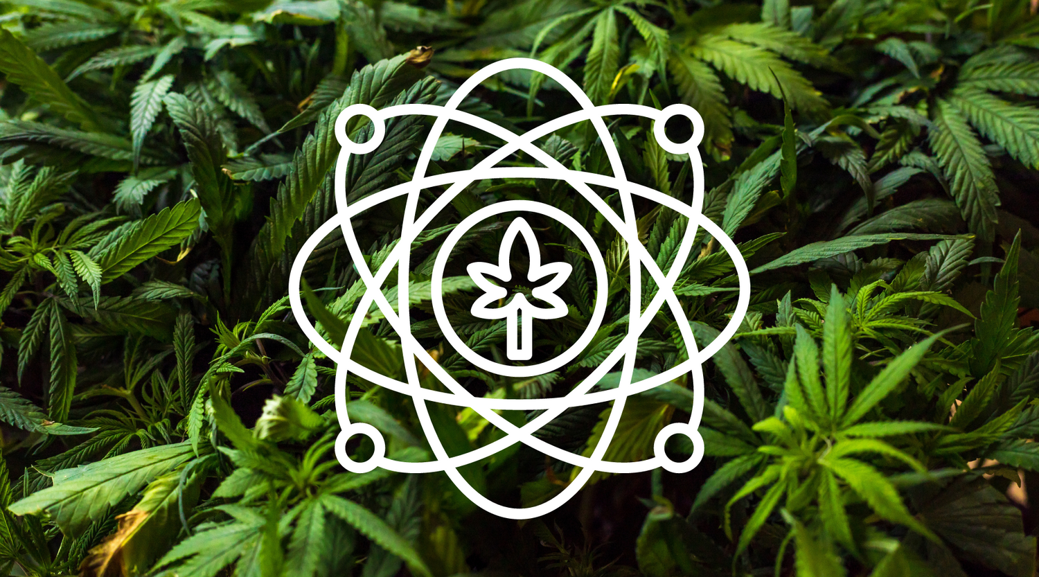 Learn about CBD, Hemp, Cannabinoids, Terpenes and the way they all ...